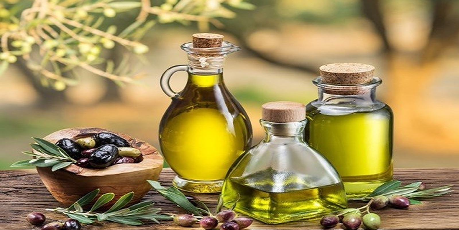 زيت الزيتون الشفاء الطبيعي